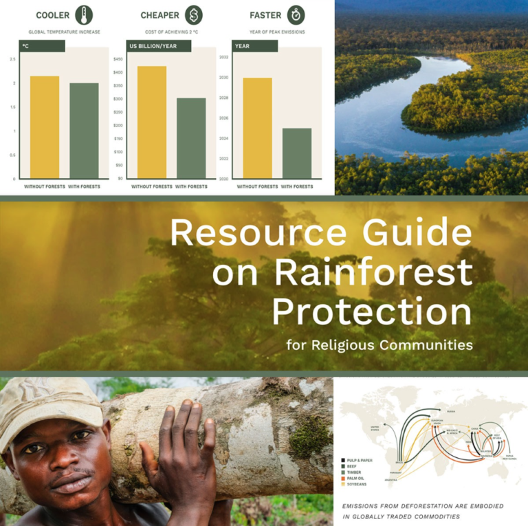 Resource Guide on Rainforest Protection for Religious Communities ...