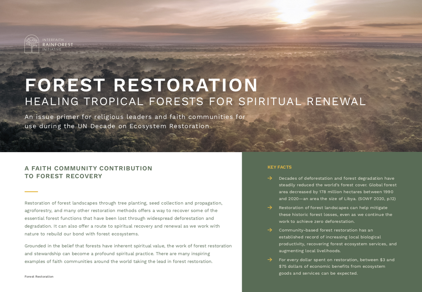 IRI launches new issue primer on forest restoration as contribution to ...