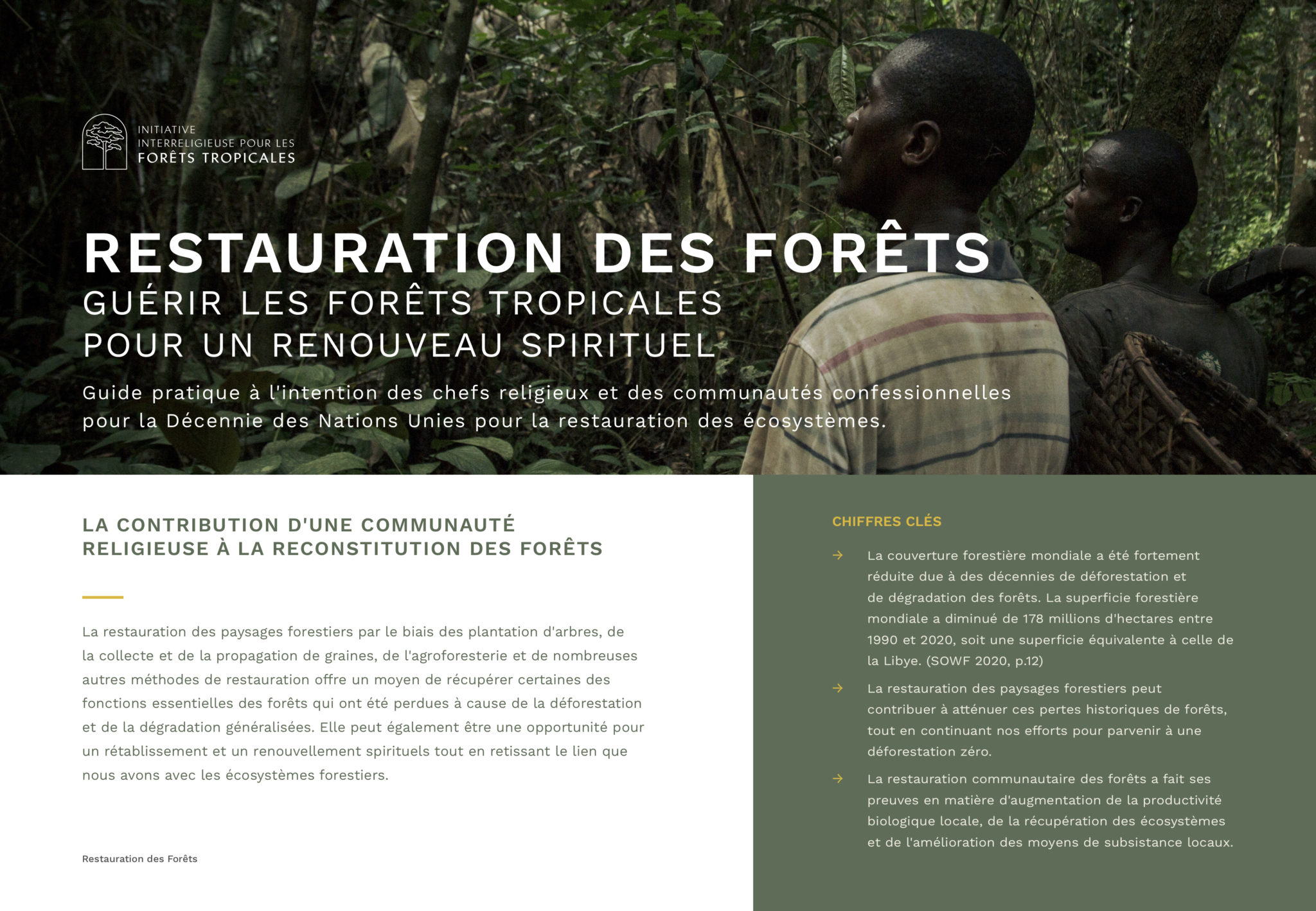IRI DRC launches issue primer on forest restoration as contribution to ...