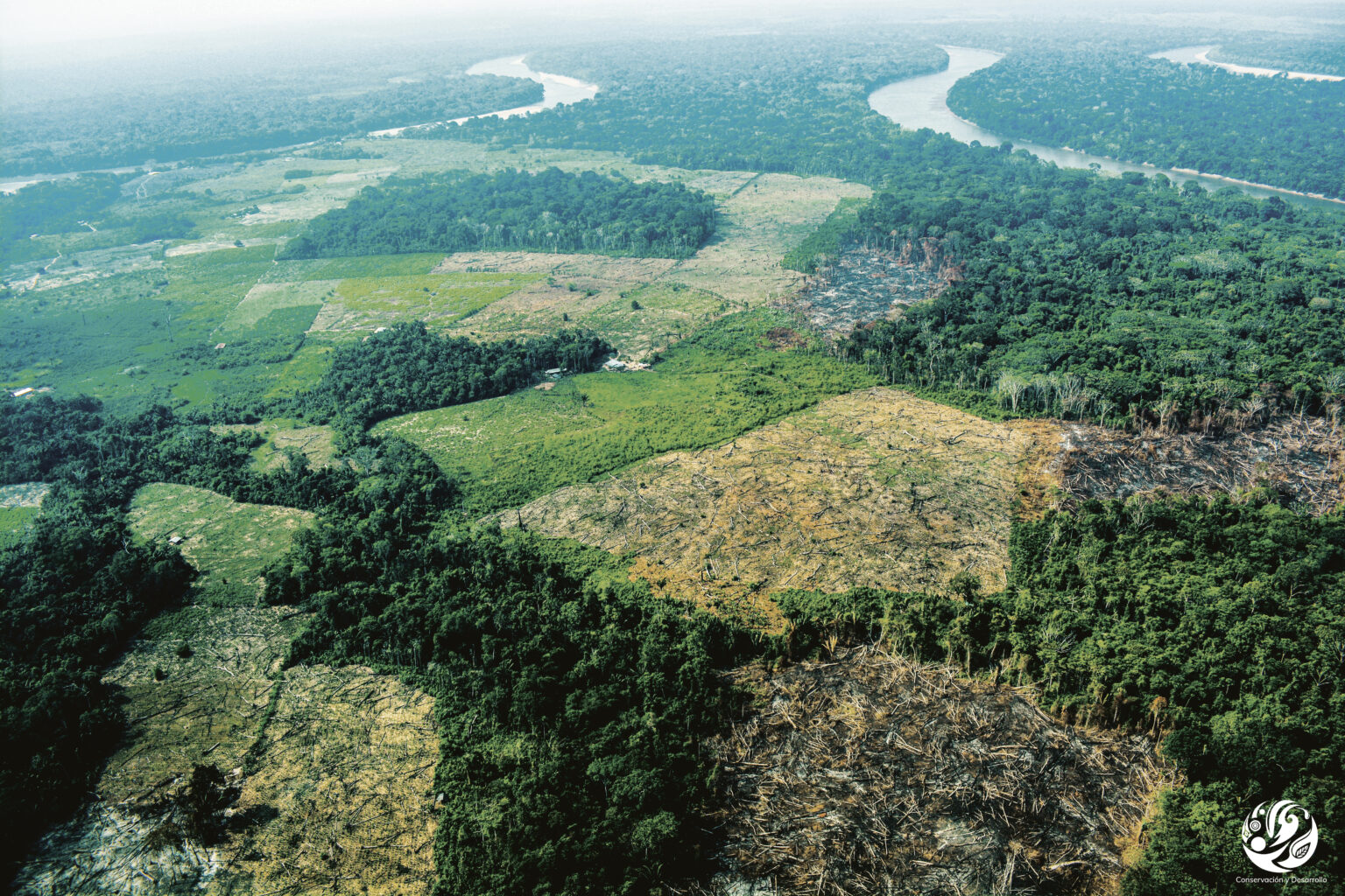 IRI Brazil participates in public consultation on deforestation action ...