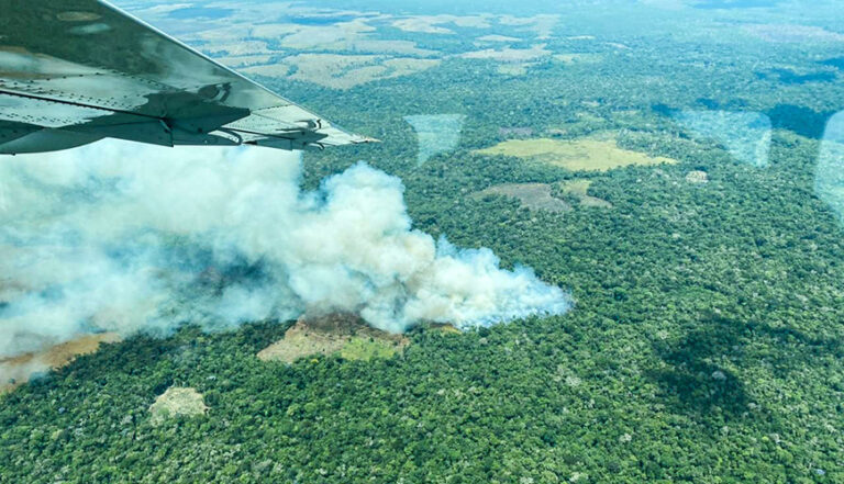 Forest fires: the enemy that devours the Amazon rainforest – Interfaith ...